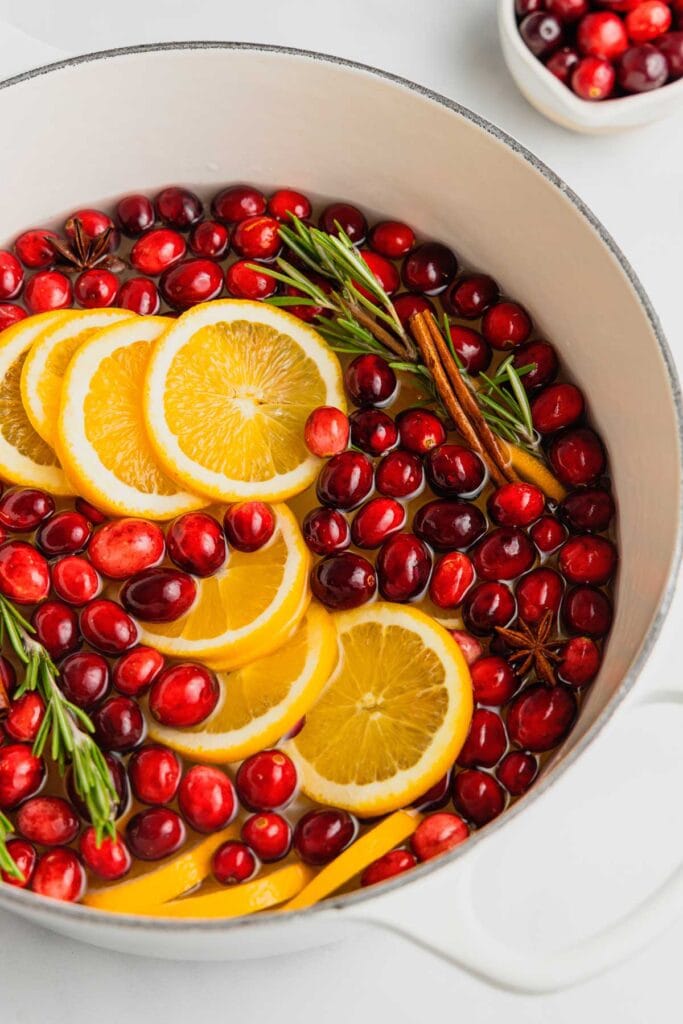 How to Make a Holiday Simmer Pot | Midwest Nice