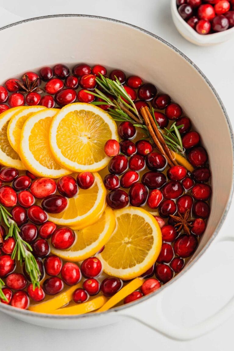 How to Make a Holiday Simmer Pot | Midwest Nice