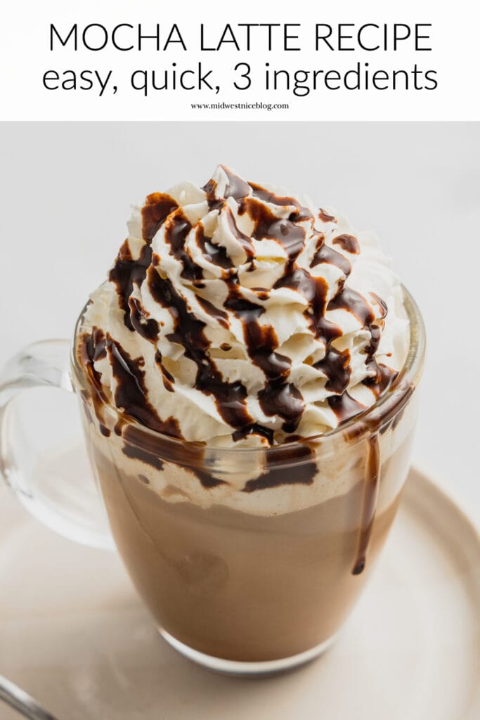 3 Ingredient Hot Mocha Latte - Midwest Nice