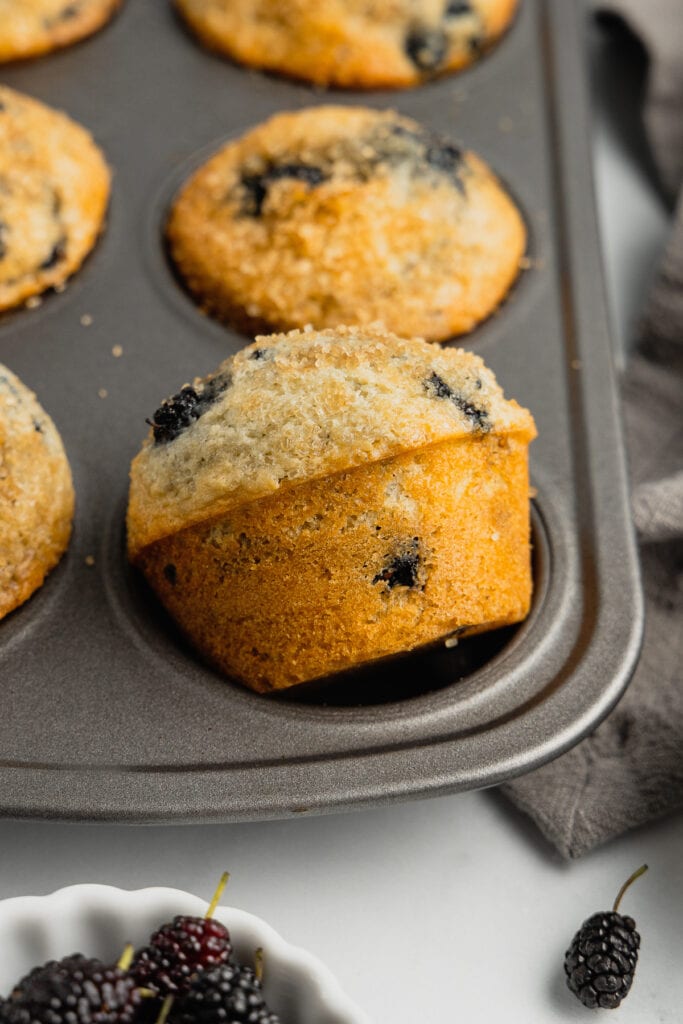 Bakery Style Mulberry Muffin Recipe (Tall & Tender!) - Midwest Nice