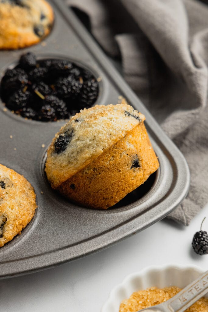 Bakery Style Mulberry Muffin Recipe (Tall & Tender!) - Midwest Nice