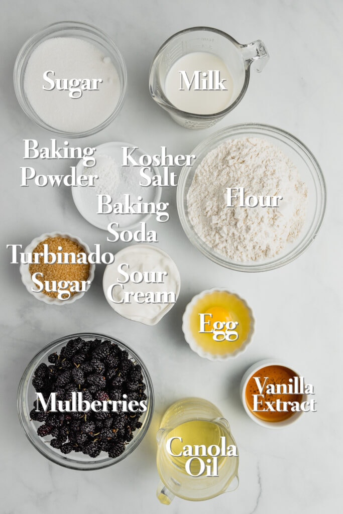 Bakery Style Mulberry Muffin Recipe (Tall & Tender!) - Midwest Nice