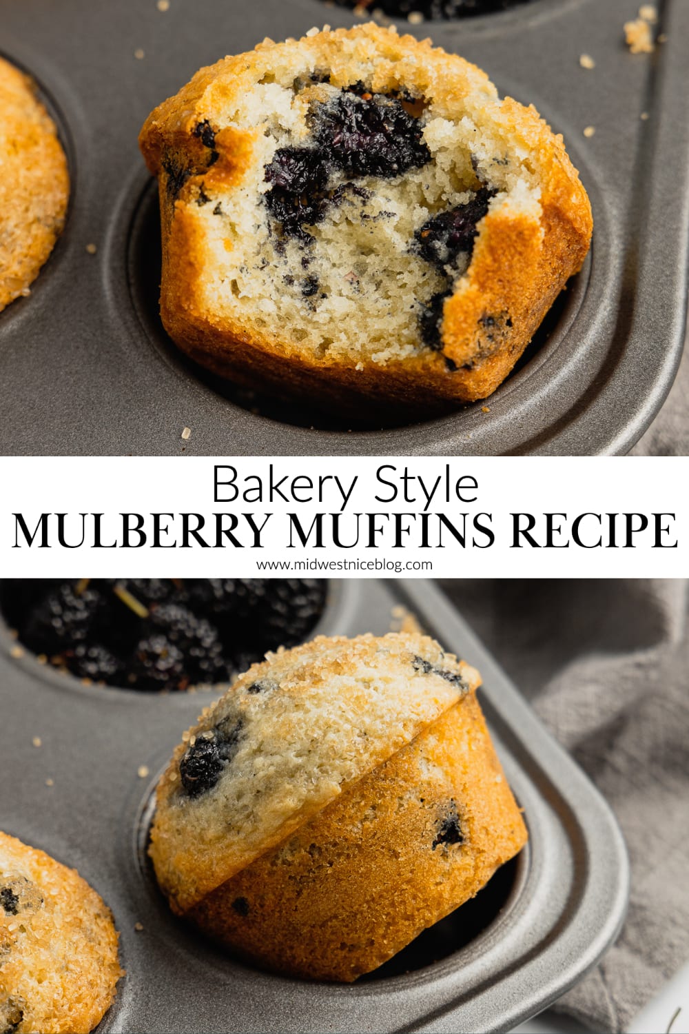 Bakery Style Mulberry Muffin Recipe (Tall & Tender!) - Midwest Nice