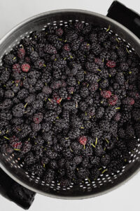 How to Freeze Mulberries - Midwest Nice