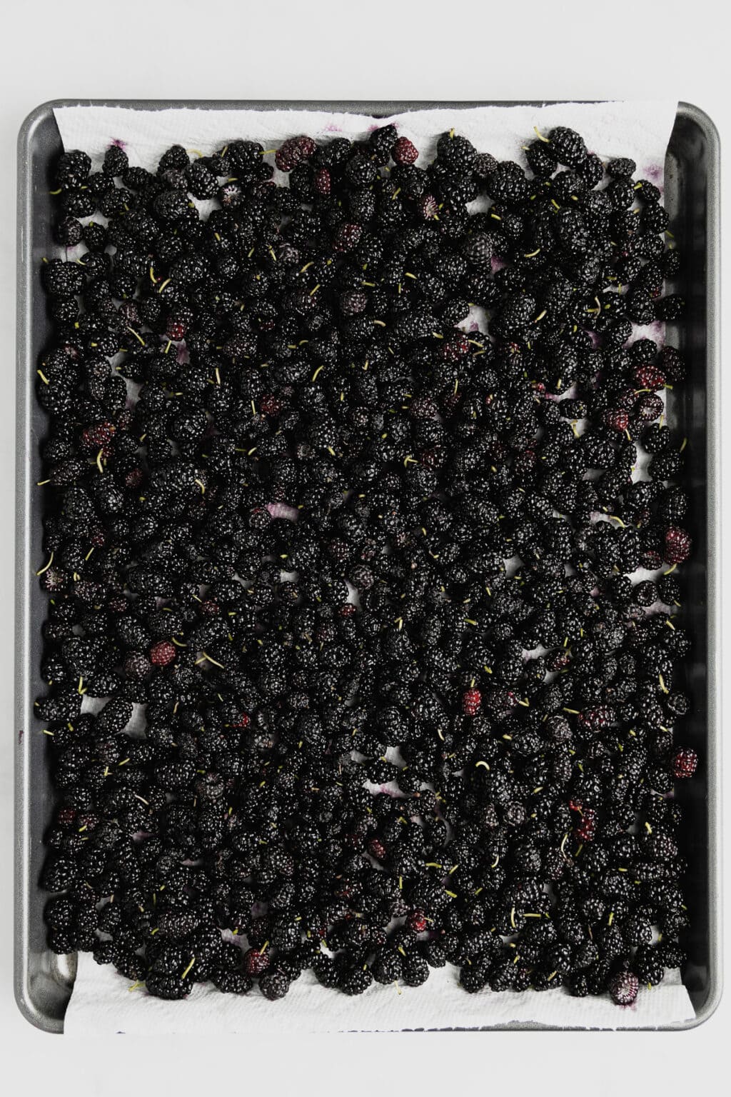 How to Freeze Mulberries - Midwest Nice