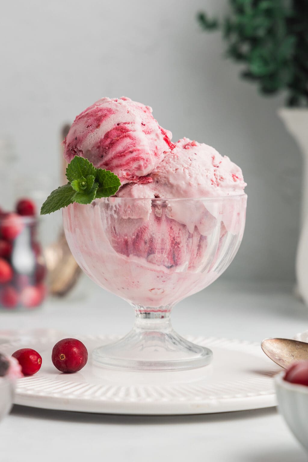 No-Churn Cranberry Ice Cream - Midwest Nice