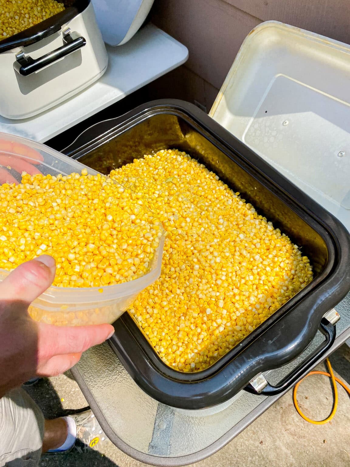Buttery and Sweet Freezer Corn (no canning required!) - Midwest Nice